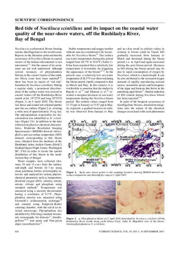(PDF) Red tide of Noctiluca scintillans and its impact on the coastal ...