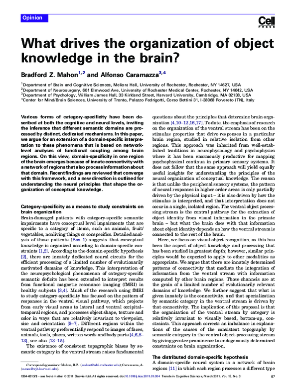 (PDF) What drives the organization of object knowledge in the brain?