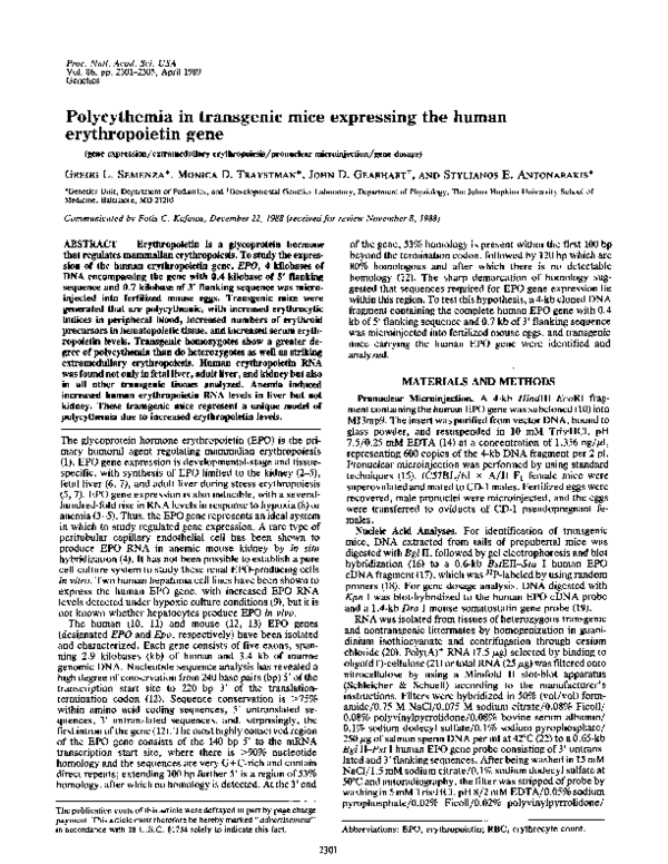 (PDF) Polycythemia in transgenic mice expressing the human ...