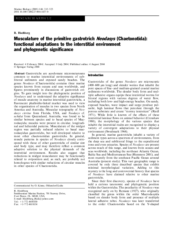 (PDF) Musculature of the primitive gastrotrich Neodasys (Chaetonotida ...