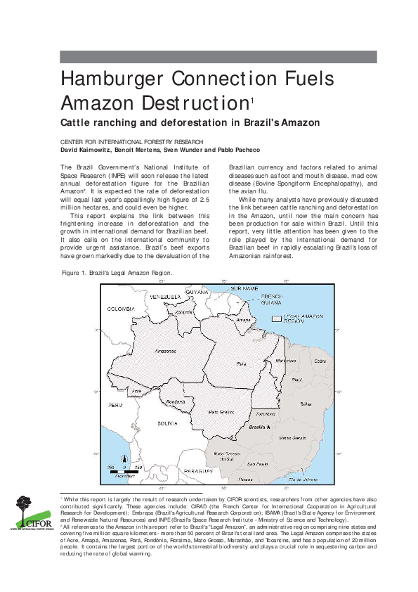 (PDF) Hamburger Connection Fuels Amazon Destruction: Cattle ranching ...