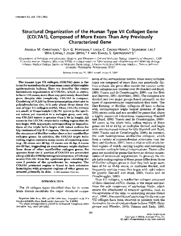 (PDF) Structural organization of the human type VII collagen gene ...