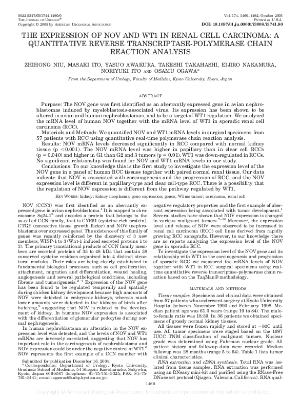 (PDF) The Expression of Nov and WT1 in Renal Cell Carcinoma: A Quantitative Reverse ...