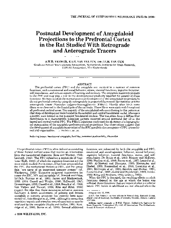 (PDF) Postnatal development of amygdaloid projections to the prefrontal ...
