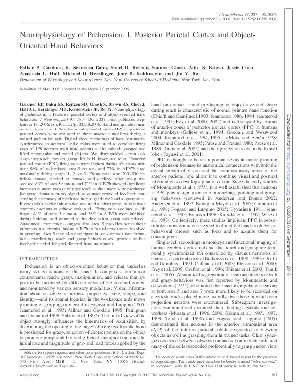 (PDF) Neurophysiology of Prehension. I. Posterior Parietal Cortex and Object-Oriented Hand Behaviors