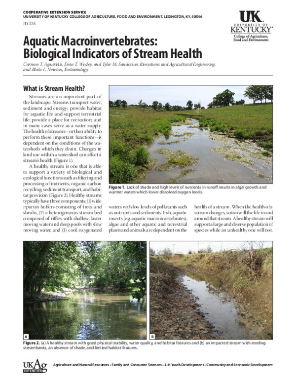 (PDF) Aquatic Macroinvertebrates: Biological Indicators of Stream Health