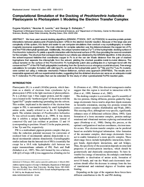 (PDF) Computational Simulation of the Docking of Prochlorothrix ...