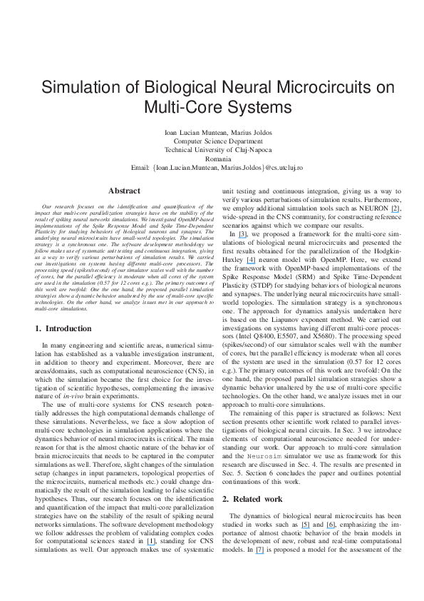 Simulation Of Biological Neural Microcircuits On Multi Core Systems