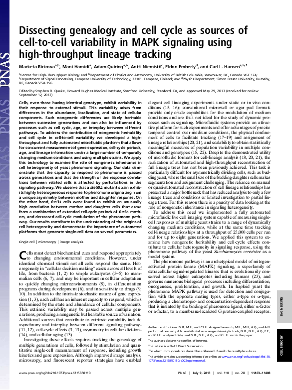 (PDF) Dissecting genealogy and cell cycle as sources of cell-to-cell variability in MAPK ...