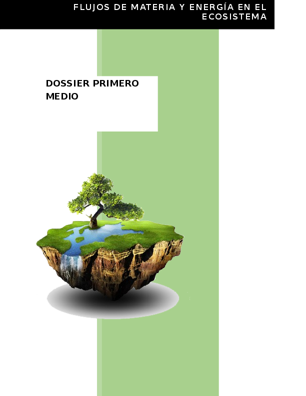 (DOC) Flujos de materia y energía en el ecosistema
