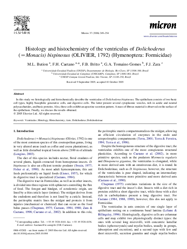 (PDF) Histology and histochemistry of the ventriculus of Dolichoderus ...