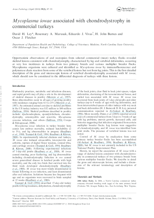 (PDF) Mycoplasma iowae associated with chondrodystrophy in commercial ...