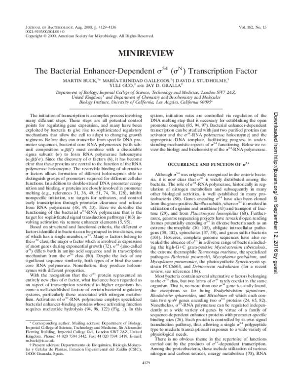 (PDF) The Bacterial Enhancer-Dependent sigma 54 (sigma N) Transcription ...