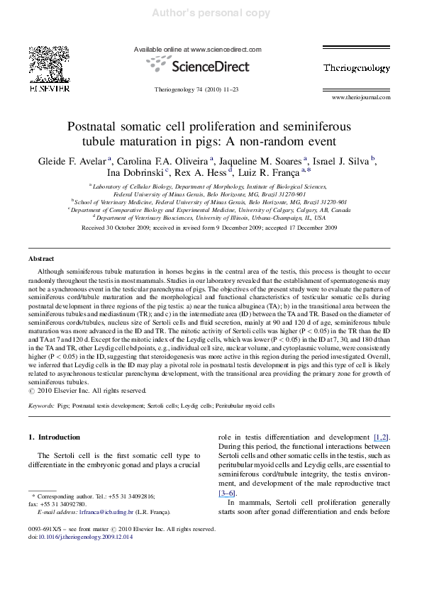 (PDF) Postnatal somatic cell proliferation and seminiferous tubule ...