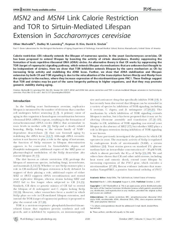 (PDF) MSN2 and MSN4 Link Calorie Restriction and TOR to Sirtuin ...