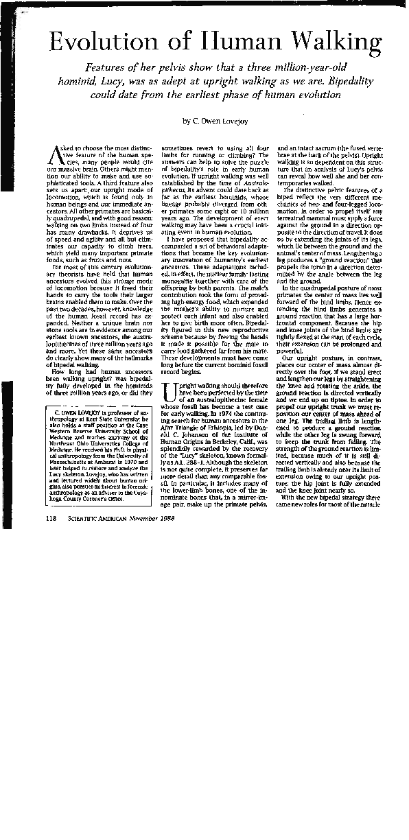 (PDF) Evolution of Human Walking