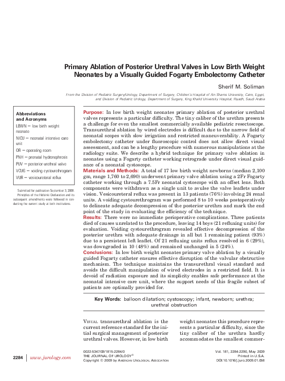 (PDF) Primary Ablation of Posterior Urethral Valves in Low Birth Weight ...