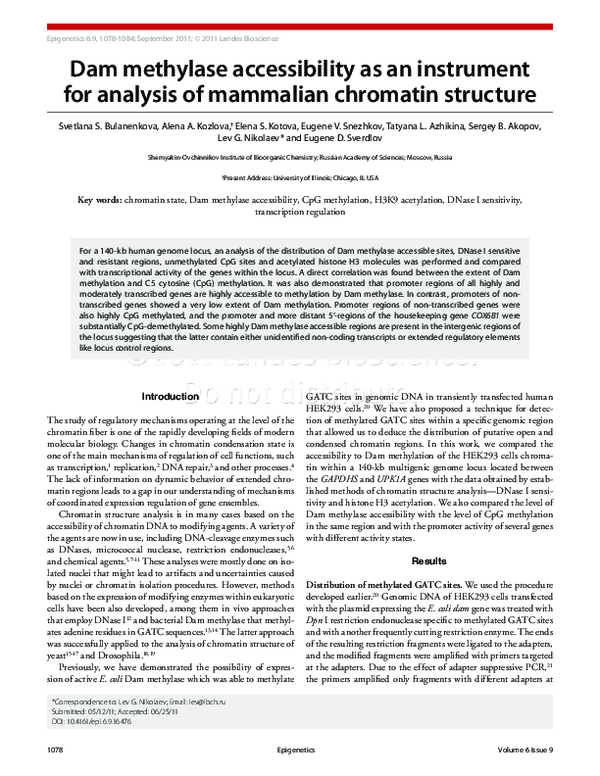 (PDF) Dam methylase accessibility as an instrument for analysis of ...