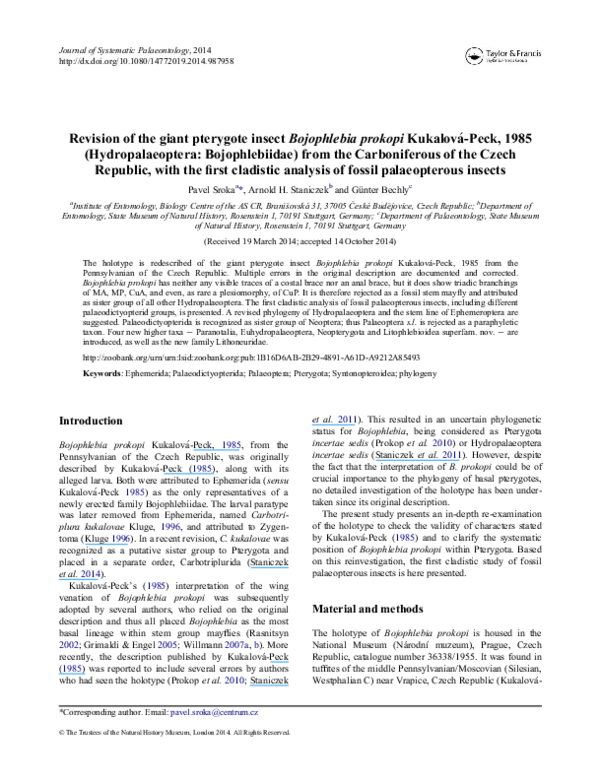 (PDF) Revision of the giant pterygote insect Bojophlebia prokopi ...