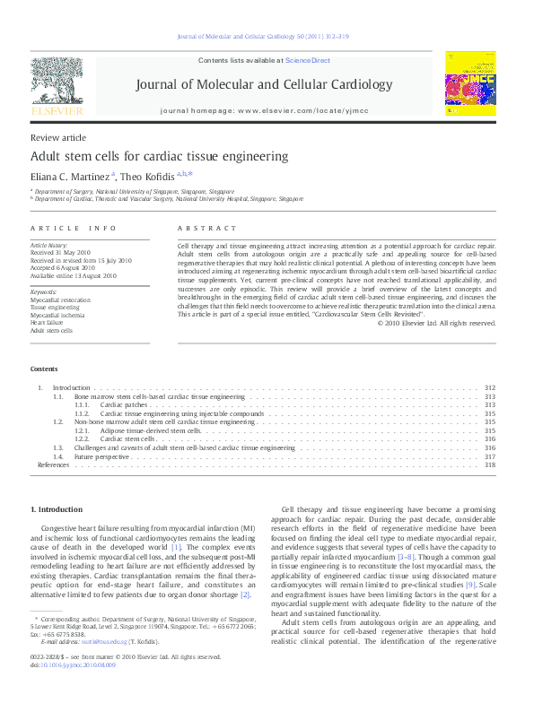 (PDF) Cardiac Tissue Engineering with Adult Stem Cells