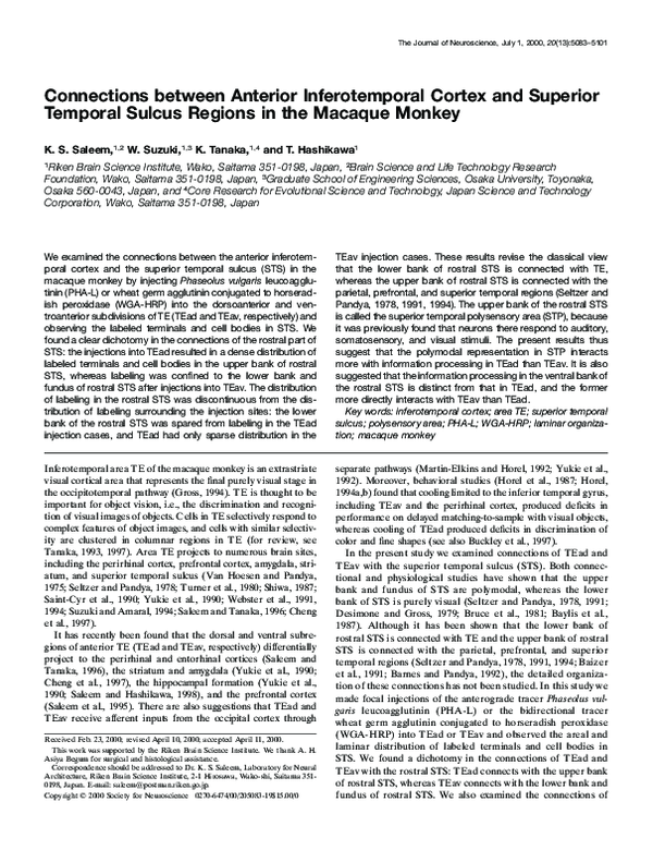 (PDF) Connections between Anterior Inferotemporal Cortex and Superior Temporal Sulcus Regions in ...