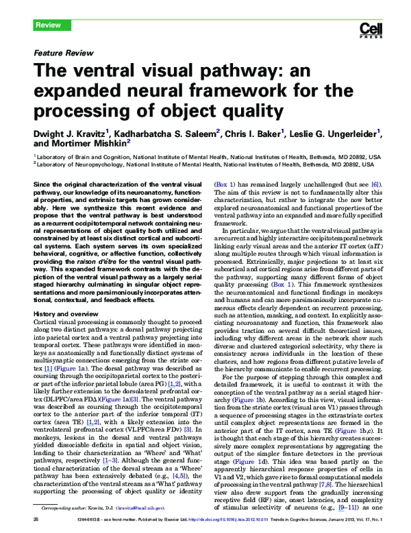 (PDF) The ventral visual pathway: An expanded neural framework for the processing of object quality