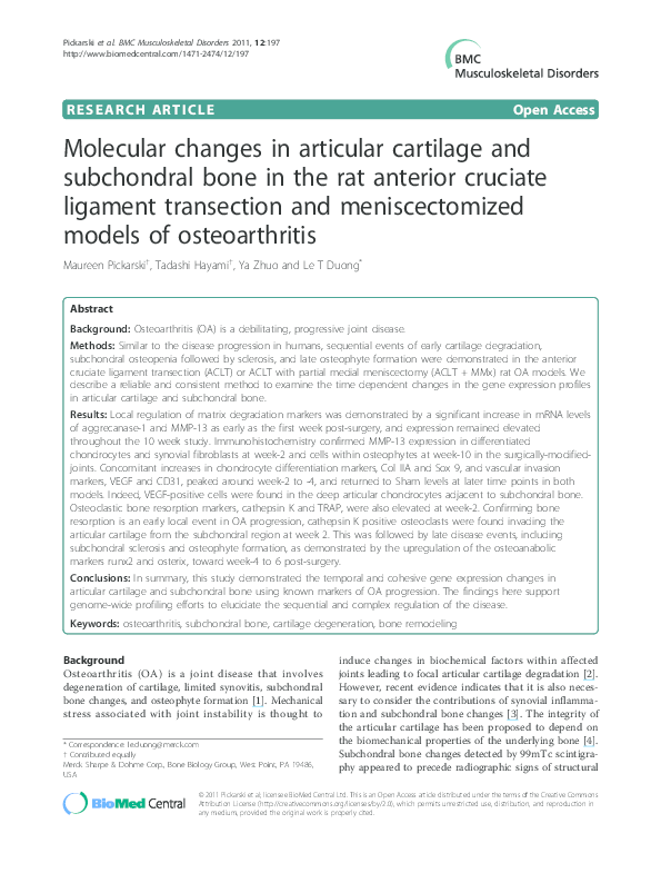 (PDF) Characterization of articular cartilage and subchondral bone changes in the rat anterior ...