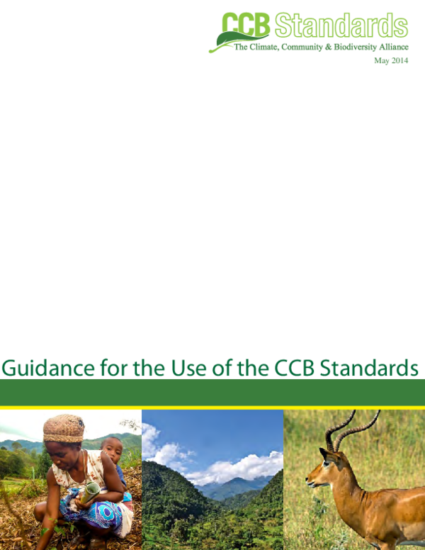 (PDF) Guidance for the use of the CCB Standards