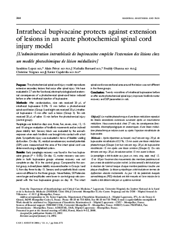 (PDF) Intrathecal bupivacaine protects against extension of lesions in ...