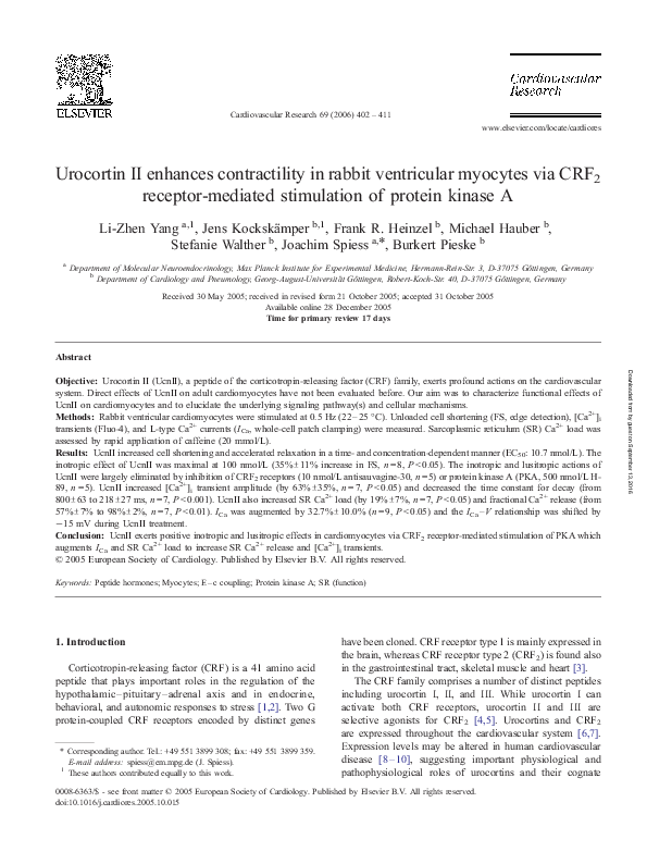 (PDF) Urocortin II enhances contractility in rabbit ventricular ...