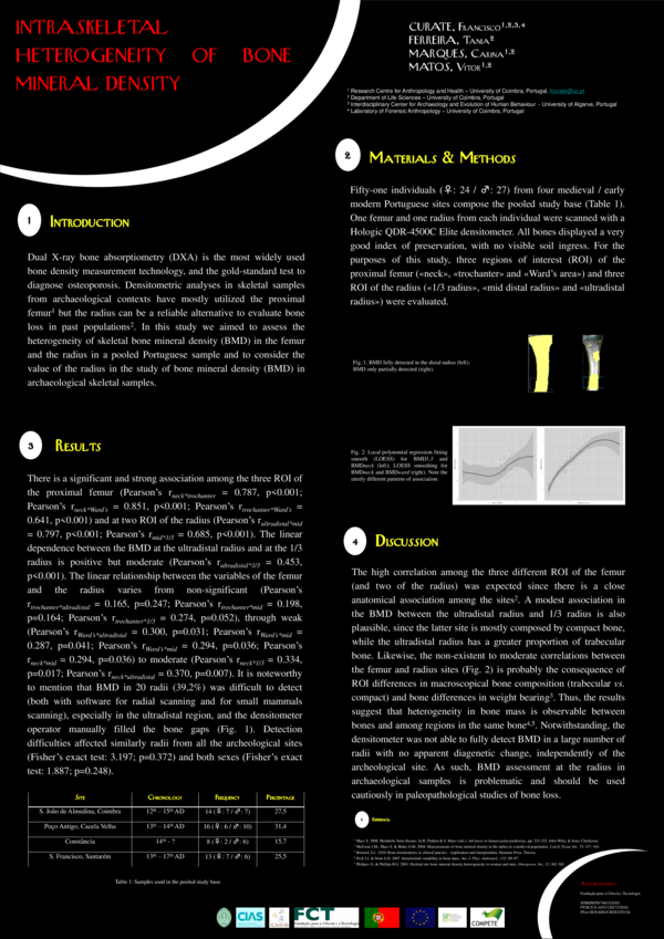 (PDF) INTRASKELETAL HETEROGENEITY OF BONE MINERAL DENSITY