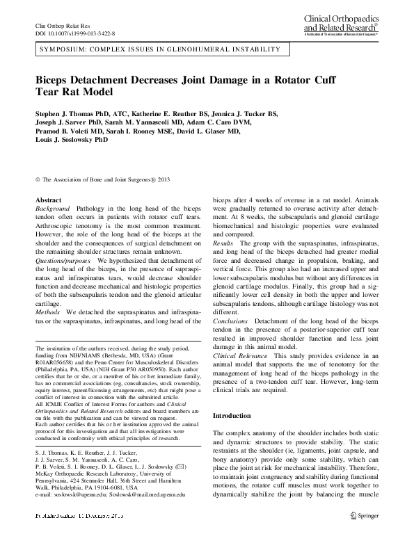 (PDF) Biceps Detachment Decreases Joint Damage in a Rotator Cuff Tear ...