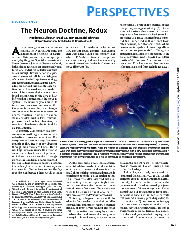 (PDF) NEUROSCIENCE: The Neuron Doctrine, Redux