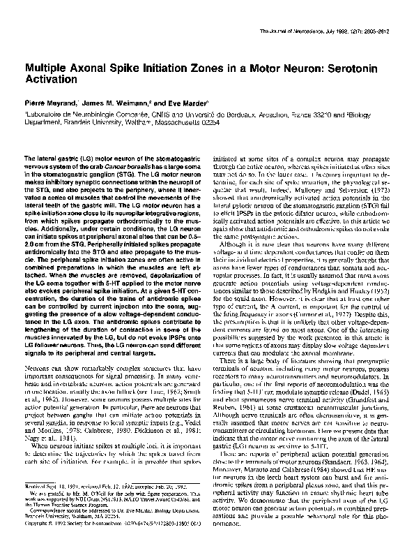 (PDF) Multiple axonal spike initiation zones in a motor neuron ...
