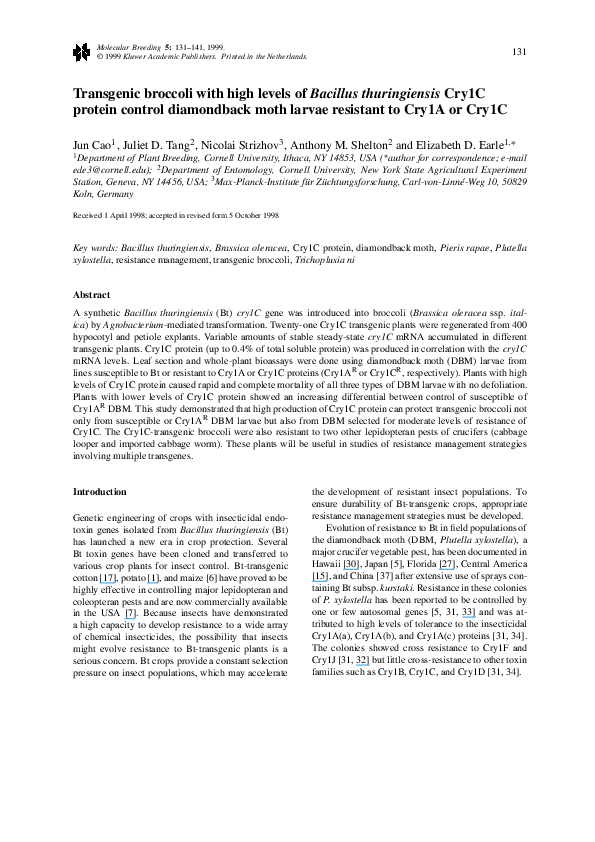 (PDF) Transgenic broccoli with high levels of Bacillus thuringiensis Cry1C protein control ...