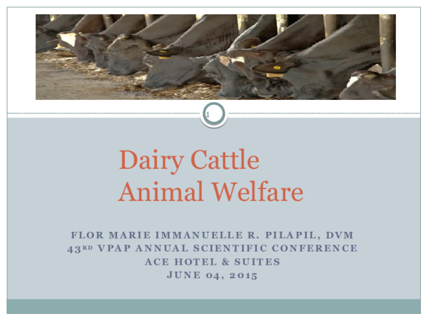 (PPT) Animal Welfare Dairy cattle