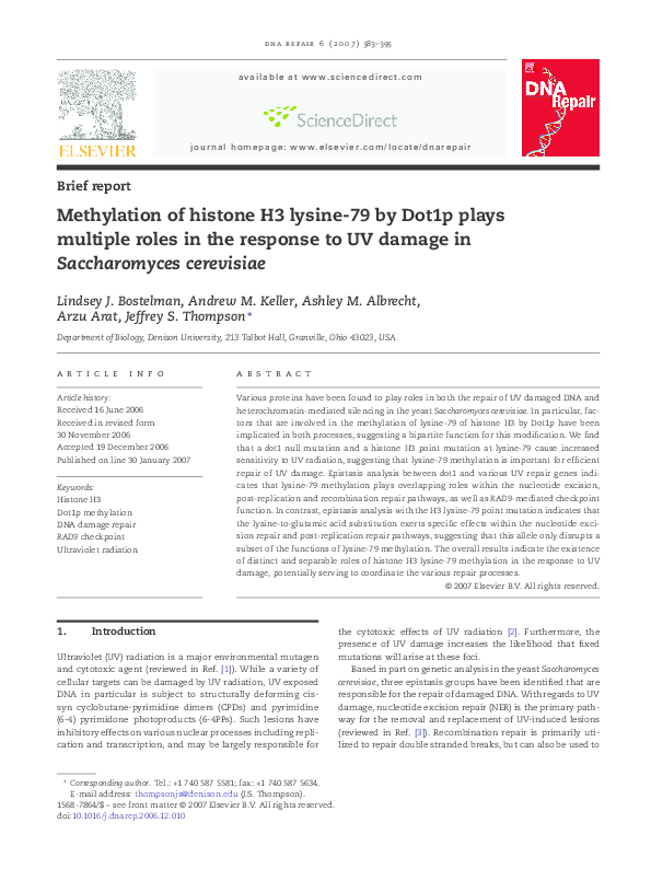 (PDF) Methylation of histone H3 lysine-79 by Dot1p plays multiple roles ...