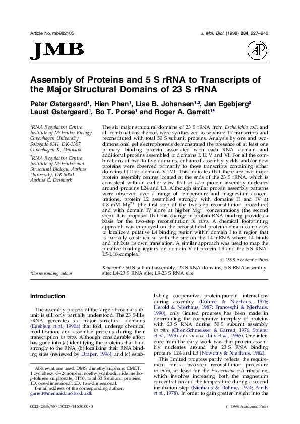 (PDF) Assembly of proteins and 5 S rRNA to transcripts of the major ...