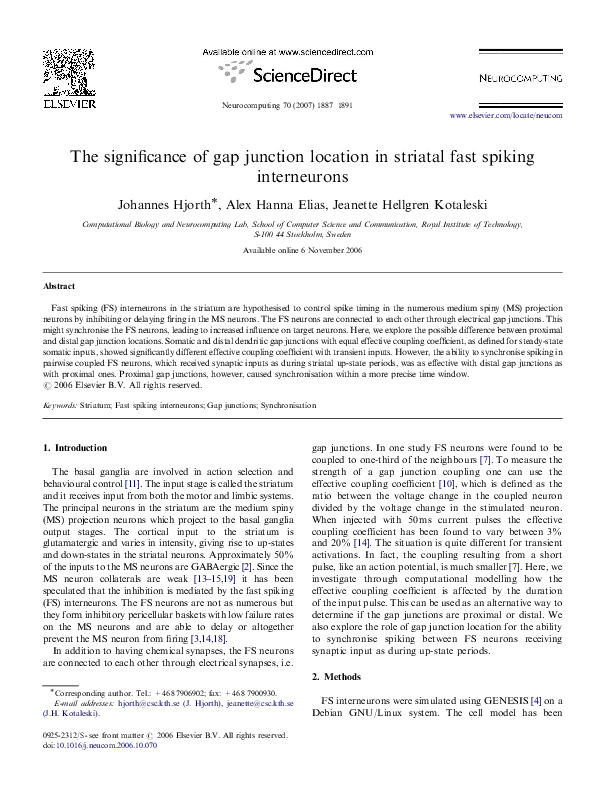 (PDF) The significance of gap junction location in striatal fast spiking interneurons