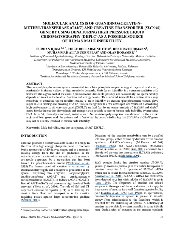 (PDF) Molecular analysis of guanidinoacetate-n-methyltransferase (GAMT ...