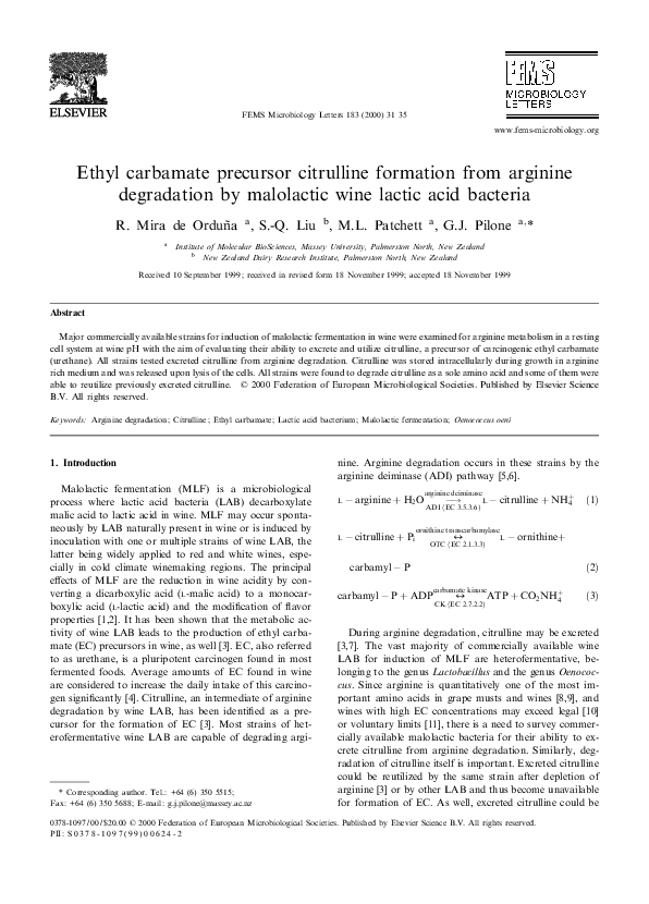 (PDF) Ethyl carbamate precursor citrulline formation from arginine ...