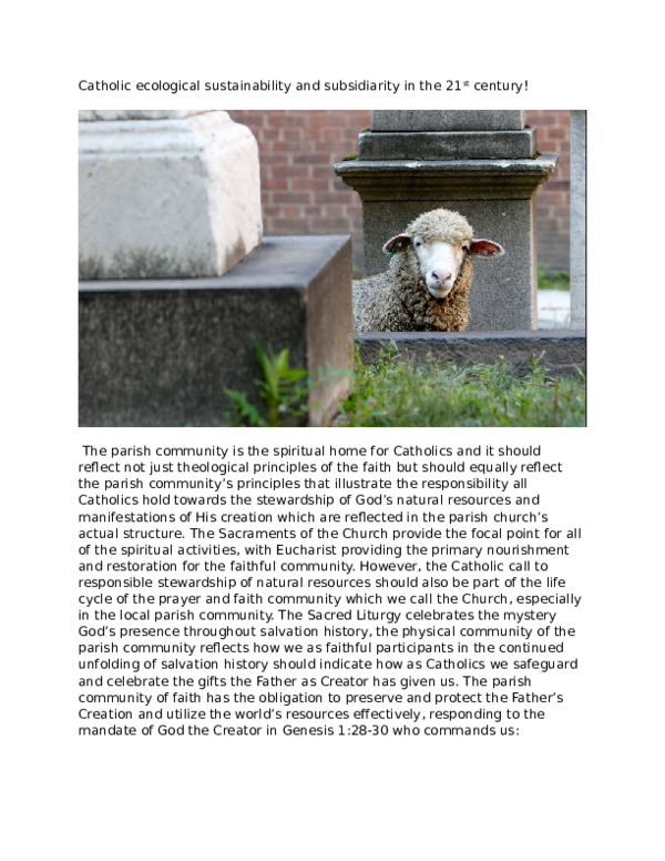 (DOC) Catholic sustainability and subsidiarity in the 21st century