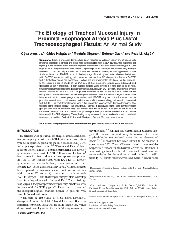 (PDF) The etiology of tracheal mucosal injury in proximal esophageal ...