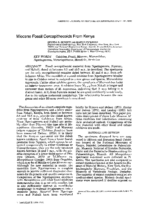 (PDF) Miocene fossil cercopithecoids from Kenya