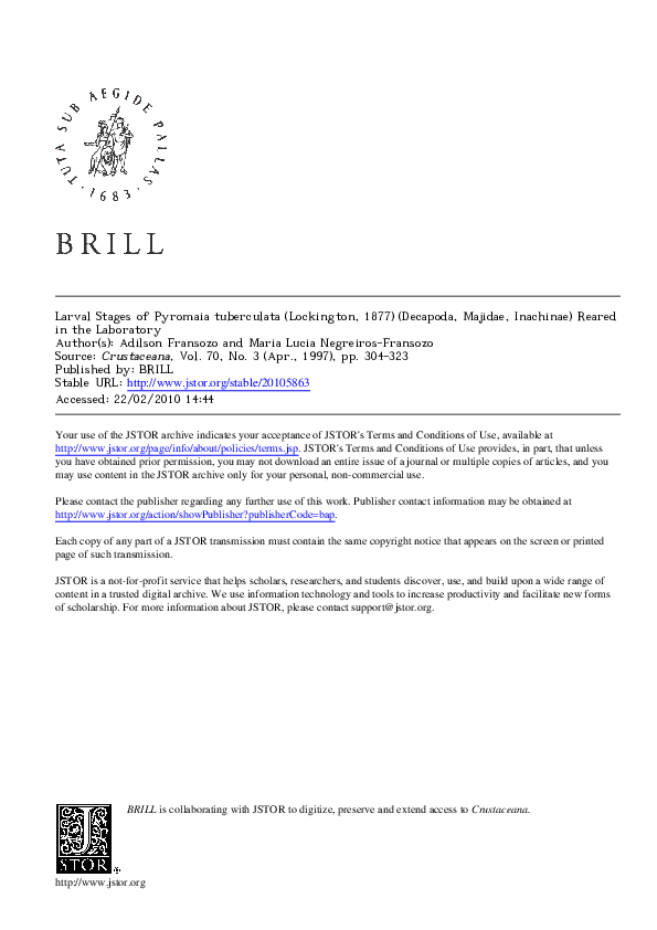 (PDF) Larval Stages of Pyromaia Tuberculata (Lockington, 1877 ...