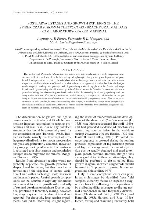 (PDF) POSTLARVAL STAGES AND GROWTH PATTERNS OF THE SPIDER CRAB PYROMAIA ...