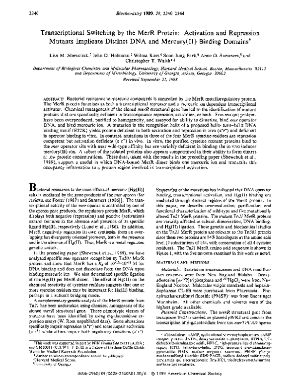 (PDF) Transcriptional switching by the MerR protein: activation and ...