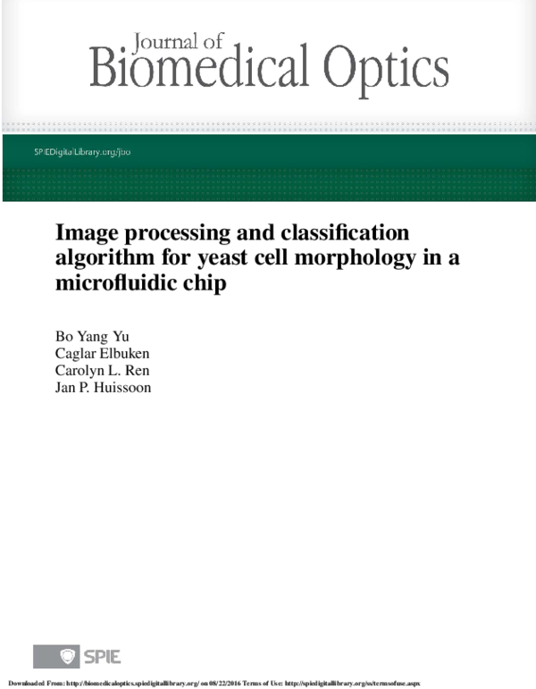 (PDF) Automated Segmentation and Classification of High Throughput Yeast Assay Spots | AYA ...