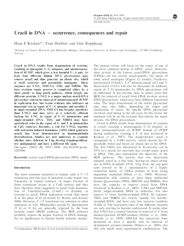 (PDF) Uracil in DNA – occurrence, consequences and repair