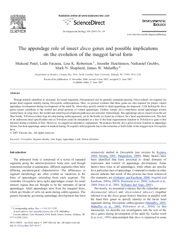 (PDF) The appendage role of insect disco genes and possible ...